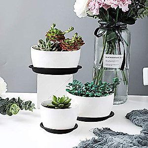 QCYOHO 12 Pack Plastic Flower Plant Pot Saucer Heavy Duty Sturdy Drip Trays for Indoor Outdoor Garden (6''/8.5''/10'', Black),