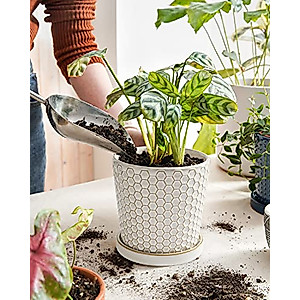 LE TAUCI Ceramic Plant Pots, 5.4 Inch Pots for Indoor Plants, Planters with Drainage Hole and Saucer, Flower Pots for Succulent, Snake Plants and Cactus, Set of 2, Reactive Glaze White