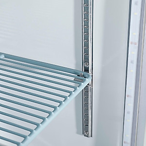 Nexel Reach In Freezer, 2 Glass Doors, 47 Cu. Ft.