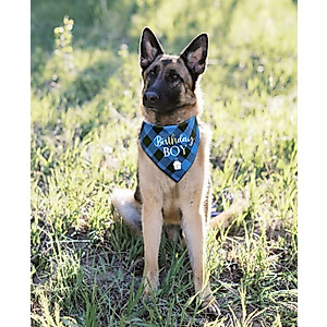 Funny Blue Plaid Cotton Pet Dog Bandana, Birthday Boy Dog Scarf Gender Reveal Photo Prop Accessories Birthday Party for Pet Dog Master Lovers Owner Gift