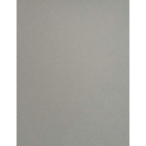 Colorplan Real Grey Cardstock Paper - 8.5 X 11 Inch Premium Matte 100 Lb. Heavyweight - 25 Sheets from Cardstock Warehouse