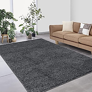 NANAN 9 x 12 Solid Shag Area Rug Large Living Room Area Rug Modern Shaggy Area Rug Indoor Non Slip Carpet Non-Shedding Shag Area Rug Fluffy Plush Area Rug for Bedroom Nursery, 9' x 12', Dark Grey