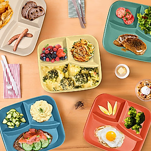 DLF. DONGLINFENG Adult Compartmentalized Dinner Plates 5-Piece Set Unbreakable Portion Control Wheat Plastic Dinner Plates (Compartmentalized Plates/Picnic Plates) 10-Inch