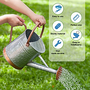 8pints 1 Gallon Watering Can for Outdoor Plants - Metal Watering Can for Outdoor Plants House Plant Watering Can with Sprinkle Head Perfect Watering Can Indoor Plants for Outdoor and Indoor Gardening