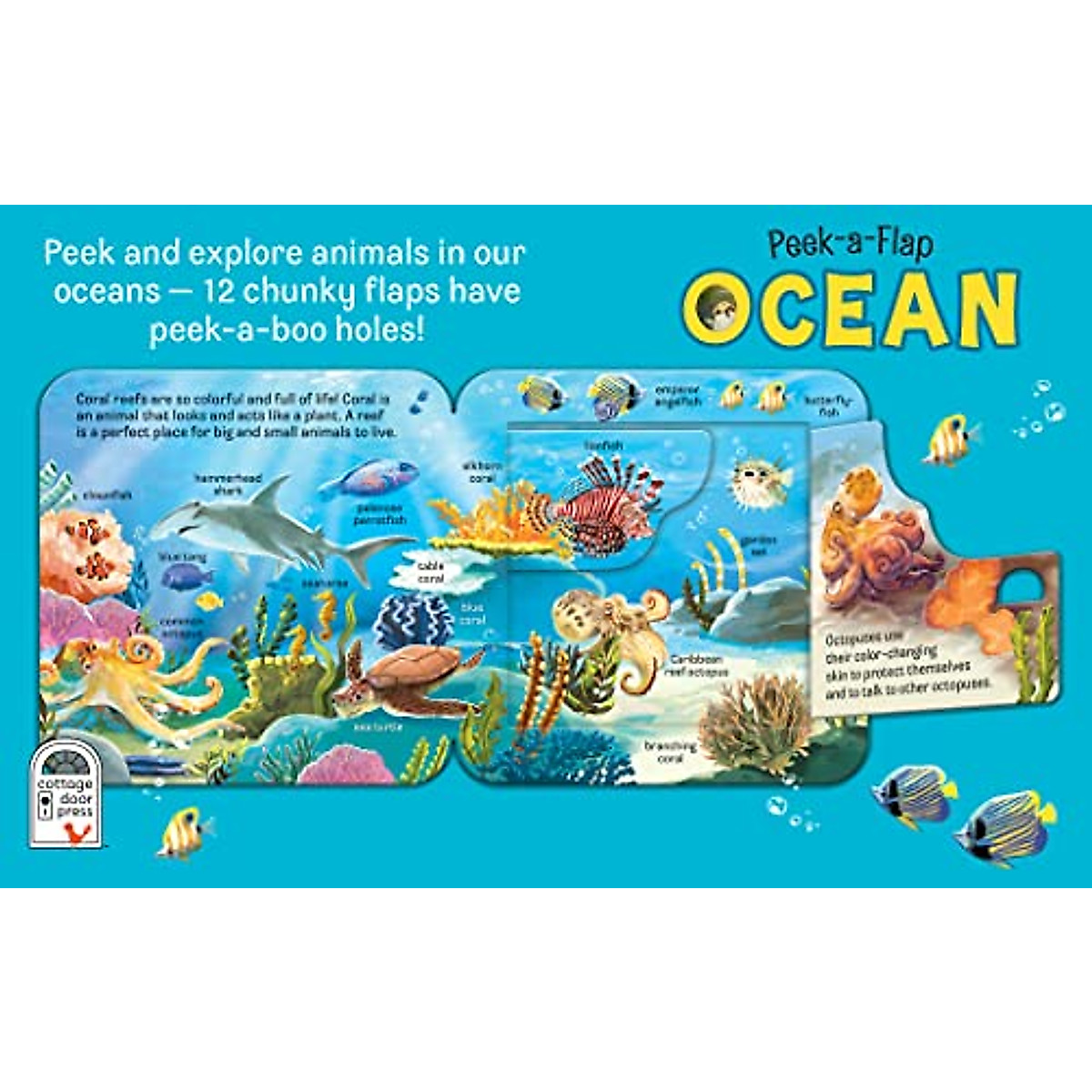 Peek-a-Flap Ocean Children's Lift-a-Flap Board Book for Children Learning about the Sea and Water Animals, Ages 2-5