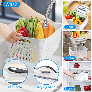 4 Pack Fruit Storage Containers for Fridge with Removable Colanders, Produce Storage Containers for Fridge, Airtight Food Storage Containers for Berry Fruit Vegetable Meat Keeper Fresh (with handle)