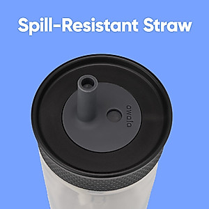 Owala Kids BPA-Free Plastic Tumbler with Spill Resistant Flexible Straw, Easy to Clean, Kids Water Bottle, Great for Travel, Dishwasher Safe, 15 Oz, Black and Gray (Skate Park)