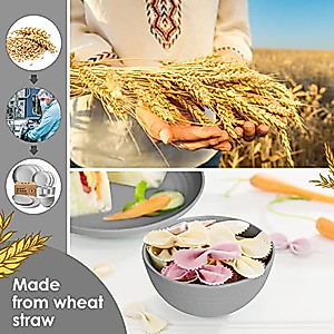 Teivio 32-Piece Kitchen Plastic Wheat Straw Dinnerware Sets, Service for 8, Dinner Plates, Dessert Plate, Cereal Bowls, Cups, Unbreakable Plastic Outdoor Camping Dishes, Grey