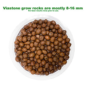Viagrow Viastone, Expanded Clay Pebbles (2 Liter, 1 Pack)