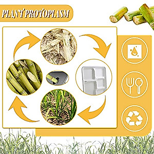 Vmiapxo 50 Pack Natural Bagasse Fiber Paper Food Trays,10"x 8",5 Compartment Dinner Tray School Lunch Divided Paper Plates Holders Buffet Party Serving Supplies (White)