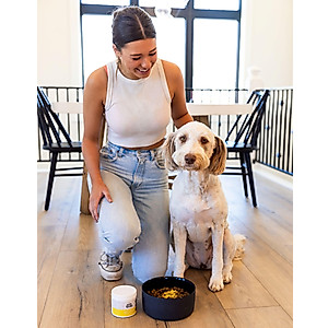 Dog Advanced Hip and Joint Powder by Good Trouble Pets - Joint Supplement for Dogs with Vitamins, Supports Healthy Joints and Prevents Arthritis in Dogs, Puppy Vitamins and Supplements (4.8 oz, Beef)