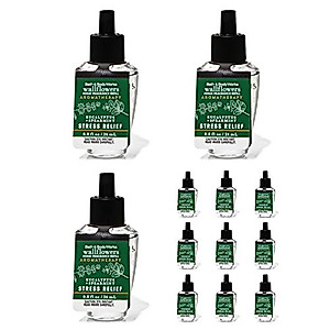 Bath & Body Works Eucalyptus Spearmint Wallflowers Aromatherapy Refills (12-Bulbs)