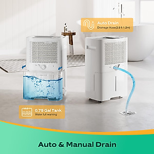 52 Pints Energy Star Dehumidifier, 4500 Sq.Ft Dehumidifier for Basement and Home, Large Room Dehumidifiers with Drain Hose & Water Tank, 24H Timer, Auto Defrost, Dry Clothes - 2024 Energy Star