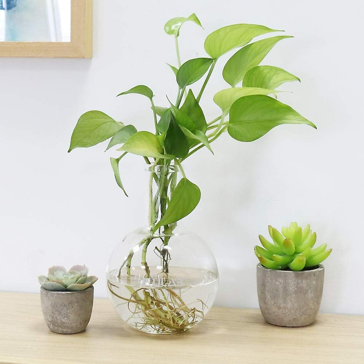 ULAB Glass Wine Decanters, Flat Bottom, 8.45oz Flask, Borosilicate 3.3 Glass Material, Pack of 4, UBF1013