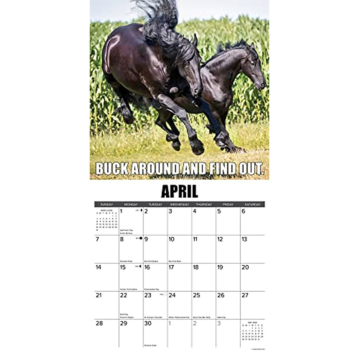 Willow Creek Press Horsin’ Around Monthly 2024 Wall Calendar (12" x 12")