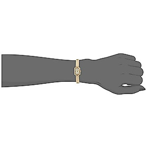 Anne Klein Women's 10-5404CHGB Gold-Tone Dress Watch