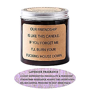 PMCDS2G Scented Candles Best Gift for Men & Women Birthday 14oz 100hour Long Burn Time Lavender Fragrance (Our Friendship is Like This Candle. IF You Forget ME I'll Burn Your FXXKING House Down.)