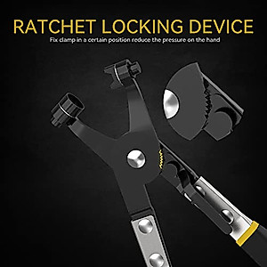 Renekton Hose Clamp Plier Swivel Flat Band for Removal and Installation of Flat-Band or Ring-Type Hose Clamps