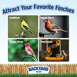Backyard Seeds Finch Frenzy Mix for Outside Feeders, Year Round Wild Bird Seed for Goldfinches and Other Musical and Colorful Birds (5 Pounds)