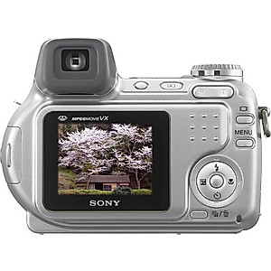 Sony Cybershot DSC-H2 6MP Digital Camera with 12x Optical Image Stabilization Zoom (OLD MODEL)