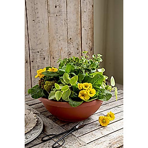 The HC Companies 22 Inch Large Garden Bowl Planter - Shallow Plant Pot with Drainage Plug for Indoor Outdoor Flowers, Herbs, Warm Gray
