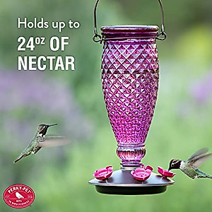 Perky-Pet 9102-1SR Purple Diamond Wine Top Fill Glass Hummingbird Feeder with Built-in Bee Guards - Outdoor Garden Décor - 24 Oz