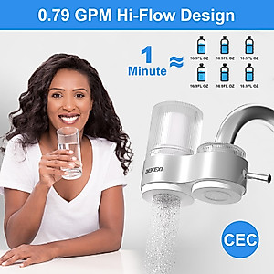 DEKEXI Filtration Faucet System Replacement Water Filters, Fits S-01, Last Up to 6 Months, Pack of 2