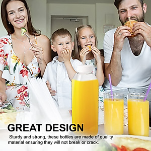 MT Products PET Plastic Juice Bottles 16 oz. - Clear Take-out Containers (Pack of 12) - Made in the USA