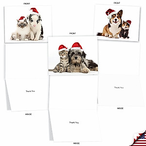 The Best Card Company - 20 Christmas Thank You Cards Boxed (10 Designs, 2 Each) - Assorted Gratitude Cards (4 x 5.12 Inch) - Christmas Copy Cats AM6596XTG-B2x10