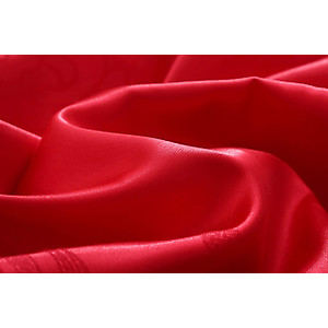 I-MART Queen Size Chinese Traditional Red Sheet Asian Bedding with Dragon and Phoenix Bird Embroidery Duvet Cover Set 4 Pcs