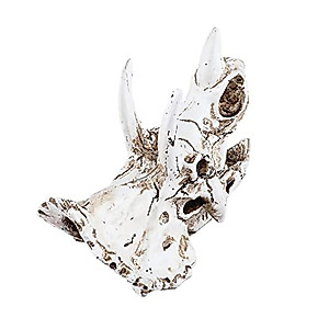 Dinosaur Triceratops Skull Reptile Amphibian Habitat Hide – Premium Non-Toxic Resin for Aquariums & Terrariums – Large Size
