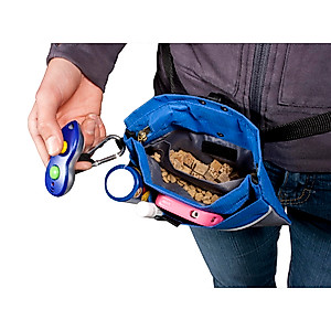 PetSafe Treat Pouch Mini - Durable, Convenient Dog Training Accessory, Black