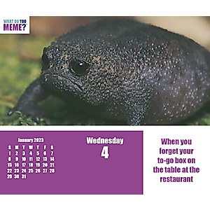2023 What Do You Meme? Day-at-a-Time Box Calendar