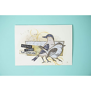 Sizzix Thinlits Die Set 6 Pack , Feathered Friends by Tim Holtz Cutting dies, Multicolor