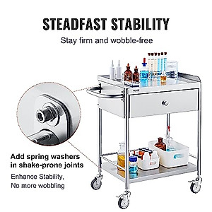 VEVOR Medical Trolley, Dual-Tier Stainless Steel Trolley with a 220 lbs Load Limit, Equipped with Quiet 360° Casters and a Drawer, Ideal for Laboratories, Clinics, Kitchens, and Salons