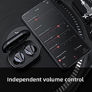 FiiO FW5 TWS Bluetooth 5.2 Earphone, True Wirless Earbuds 10mm Dynamic Driver for Hi-Res Premium Sound, LHDC/aptX Adaptive, App Customization