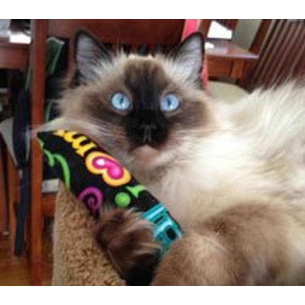 Kitty Kick Stix 11" Catnip Kicker Toys - Set of 2 Cat Kickers, The Original Made in USA