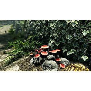 GKV DECOR The Elder Scrolls V: Skyrim Special Edition - PlayStation 4 (PS4)