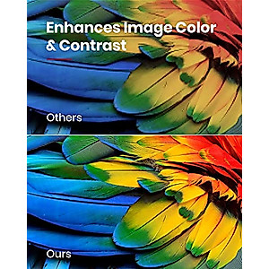 Nebula Capsule II Smart Mini Projector with Nebula 100-Inch Projector Screen