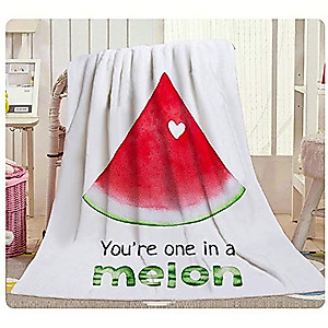 HGOD DESIGNS Watermelon Throw Blanket,Fresh Bright Red Watermelon Quote You are One in A Melon Soft Warm Decorative Throw Blanket for Baby Toddler or Pets Cat Dog 30"X40"