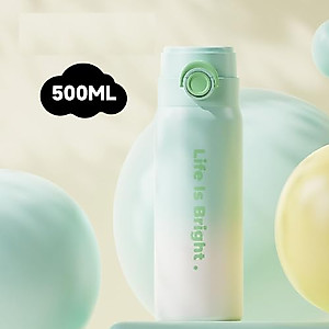 bukebro Stainless Steel Vacuum Insulated Water Bottles Leak Proof with Straw,keep warm|cool,Gifts for him|her,used in office,outdoor sports 17oz/500ml (17oz green)