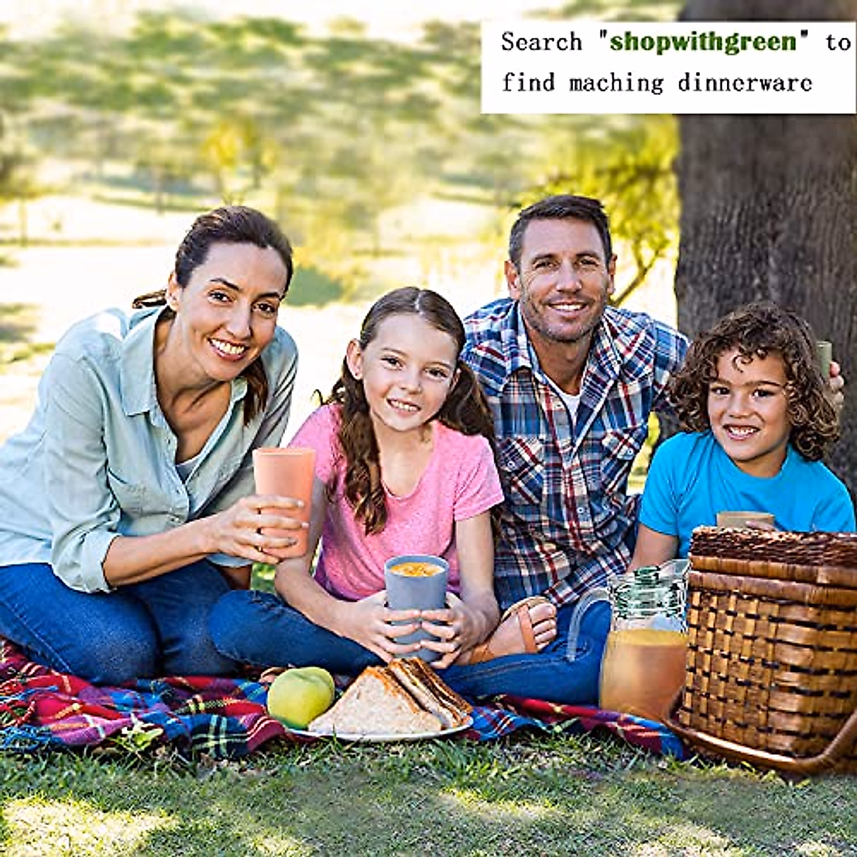 shopwithgreen 10 Inch Wheat Straw Dinner Plates, Unbreakable Sturdy Plastic Dinner Plates, Microwave and Dishwasher Safe