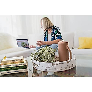 Large Xerographica Air Plants 5 to 7 Inch Wide - Air Plants Live Tillandsia Succulent House Plants Holders - Available in Wholesale and Bulk Air Plant - Home and Garden Decor - Easy Care Indoor and Outdoor Plants (1 PC)