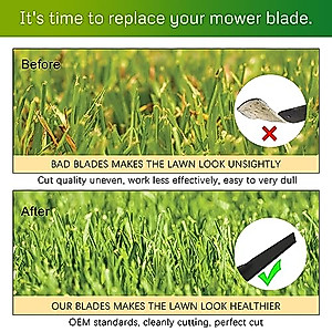 Apeixoto 72531-VH7-000 72511-VH7-000 Mower Blade Compatible with HRX217, HRX217K1, HRX217K2, HRX217K3, HRX217K4 Mower 21" MicroCut Twin Blade Set