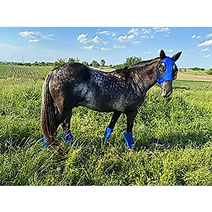 Fly Free Insect Protection Boots, Blue, HORSE