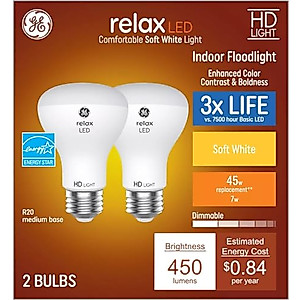 GE Relax 2-Pack 45 W Equivalent Dimmable Soft White R20 LED Light Fixture Light Bulbs