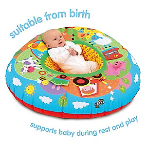Galt Toys, Playnest - Farm, Baby Activity Center & Floor Seat, Ages 0 Months Plus
