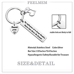FEELMEM Hospice Nurse Gift Nurse Thank You Gift The Influence of A Great Hospice Nurse Can Never Be Erased Keychain Nursing Jewelry Nurse Life Gift for Hospice Nurses (The influence -Keychian)
