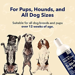 Honest Paws Dog Shampoo and Conditioner - 5-in-1 for Allergies and Dry, Itchy, Moisturizing for Sensitive Skin - Sulfate Free, Plant Based, All Natural, with Aloe and Oatmeal -16 Fl Oz