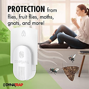 DynaTrap DT3005W-DS3 Fruit Fly, Gnat, Moth and Fly Discreet Outlet Trap - 3 Pack